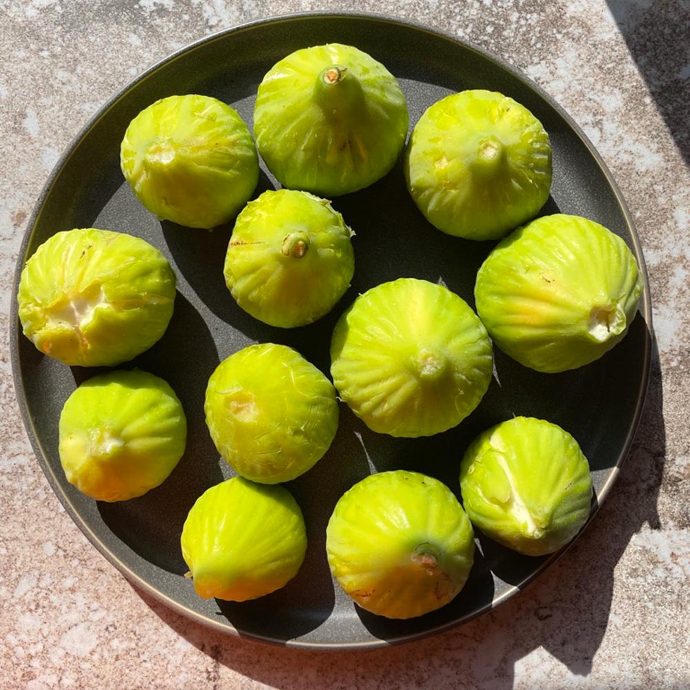 Figs: Discover the Blue Zone Greek Superfood You Need to Try Today ...