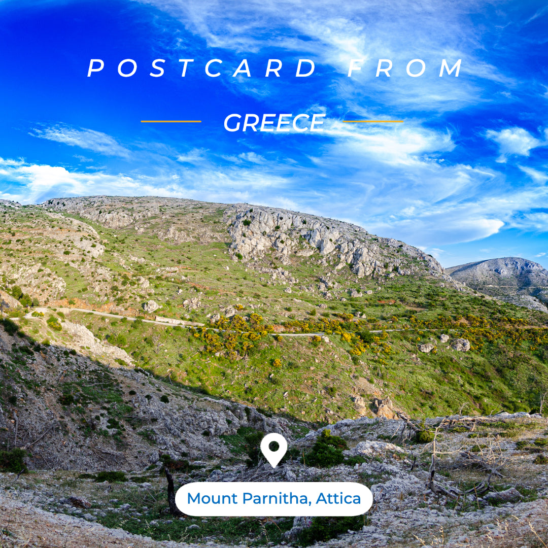 TRAVELING TO GREECE: MAGICAL MOUNT PARNITHA - Zelos® Authentic Greek ...